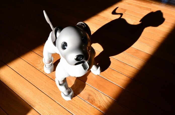 Top 5 smart personal home robots you can buy in 2023 [Updated ...