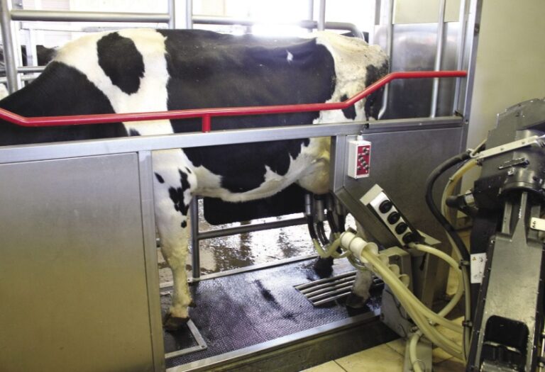 Top 9 best robotic milking machines to consider in 2023 [Updated ...