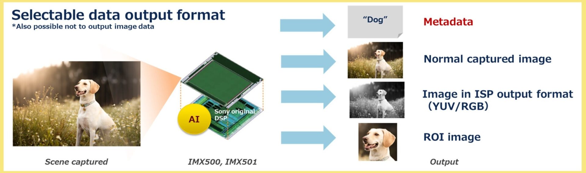 All about Sony's Vision Sensors embedded with AI processing - RoboticsBiz