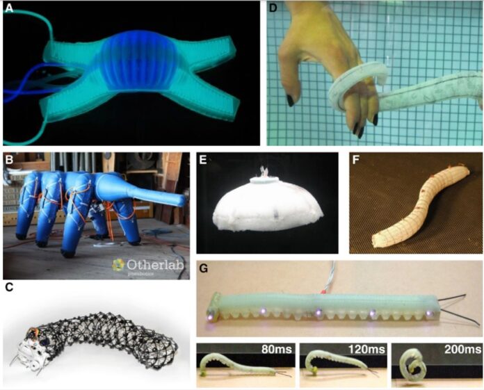 Two types of soft robots - Fundamentals of locomotion - RoboticsBiz