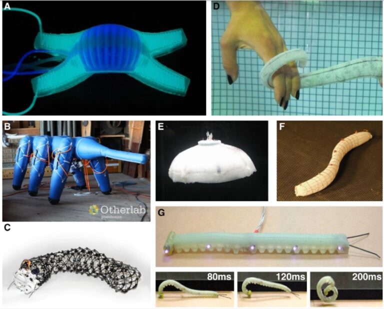 Two types of soft robots - Fundamentals of locomotion - RoboticsBiz