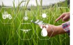 Top AI tools for smart farming in 2025 - RoboticsBiz